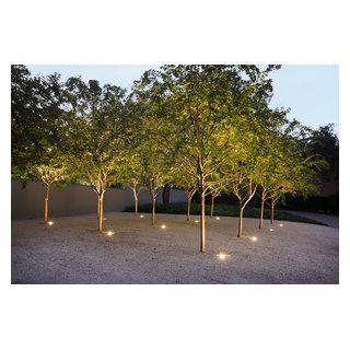 Uplit Bosque Trees - Modern - Landscape - Austin - by ADLA Studio | Houzz