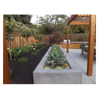 Willow Glen - Contemporary - Landscape - San Francisco - by Willow Glen ...
