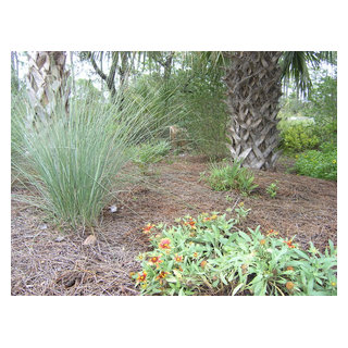 WindMark - Beach Style - Landscape - Jacksonville - by Alan D. Holt, A ...
