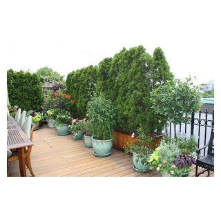 Wisteria & Rose roof deck designs. Visit www.wisteriaandrose.com for ...