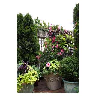 Wisteria & Rose roof deck designs. Visit www.wisteriaandrose.com for ...