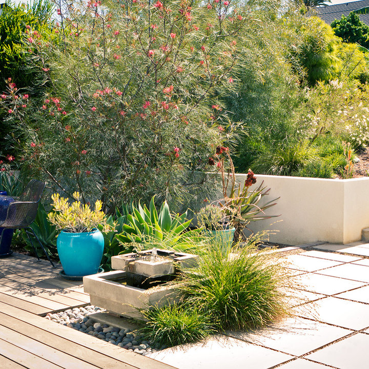 75 Beautiful Australian Native Garden Ideas & Designs - October 2022 ...