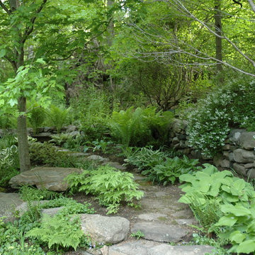 Partial Shade Garden - Photos & Ideas | Houzz