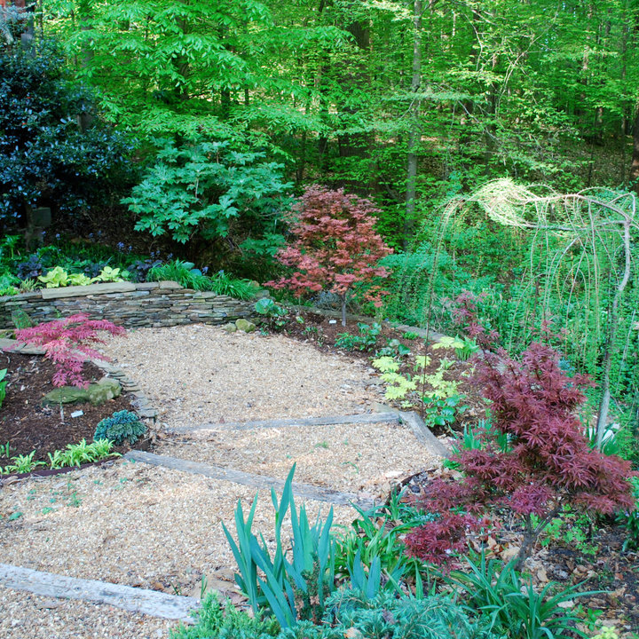 Woodland Garden - Photos & Ideas | Houzz