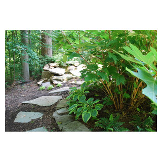 Woodland Garden - Landscape - Charlotte - by Jay Sifford Garden Design ...