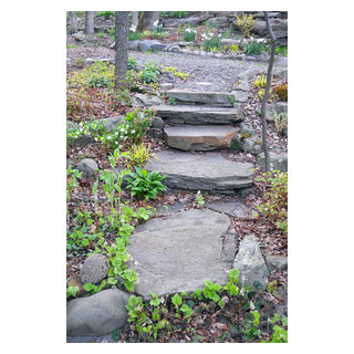 Woodland Ramble - Rustic - Landscape - New York - by ELM Garden Design ...