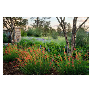 Xeric - Landscape - Denver - by Lifescape Colorado. | Houzz