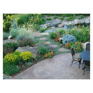 Xeric - Traditional - Landscape - Denver - by Lifescape Colorado. | Houzz