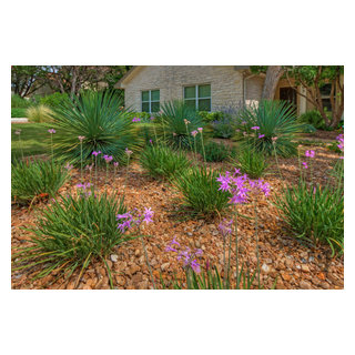 Xeric plantings - Traditional - Garden - Austin - by Pearson Landscape ...