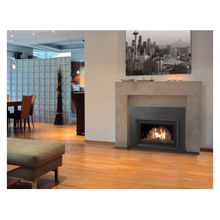 32 DVS Deluxe Gas Insert - Transitional - Living Room - Seattle - by ...