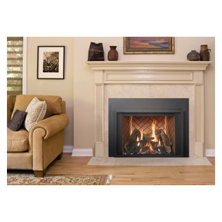 430 Deluxe Gas Insert - Transitional - Living Room - Seattle - by Lopi ...