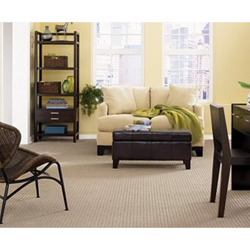 Low Pile Carpet - Photos & Ideas | Houzz