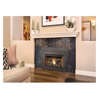 Avalon Fireplaces, Stoves & Inserts - Transitional - Living Room - New ...