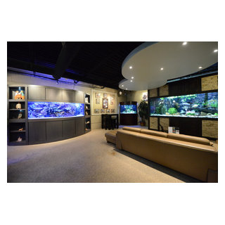 Bow Front Glass aquarium in Contemporary Wall Unit - Modern - Living ...