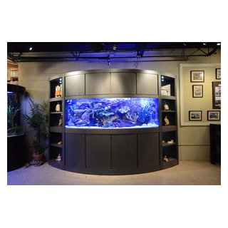 Bow Front Glass aquarium in Contemporary Wall Unit - Modern - Living ...