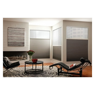 Cellular Shades - Modern - Living Room - Tampa - by Shades IN Place | Houzz