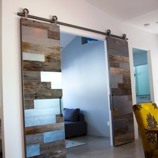 Contemporary Barn Door | Houzz