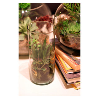 Cylinder Terrarium - Modern - Living Room - Milwaukee - by Willard ...