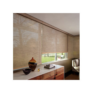 Designer Screen Roller Shades with Cassette Head Rail - Transitional ...