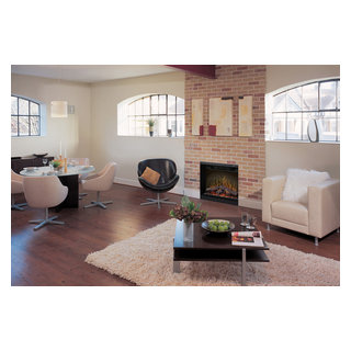 Dimplex Electric Fireplace Inserts - Contemporary - Living Room ...