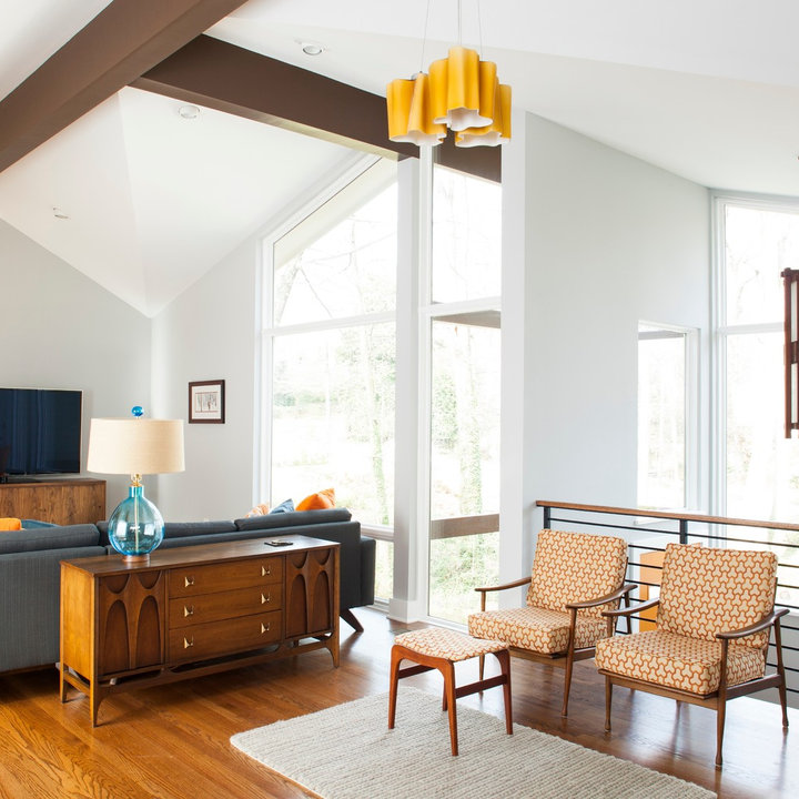 Mid Century Modern Ceiling - Photos & Ideas | Houzz