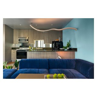 Electric Zen Garden - Modern - Living Room - Los Angeles - by Susan ...