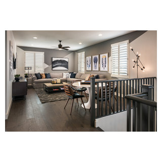 Evolve at Cantilena | Peoria, AZ | 5583 - Thrive Plan - Contemporary ...