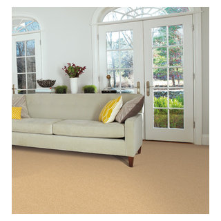 Exclusive to TLC – Lees Studio - Traditional - Living Room - Denver ...