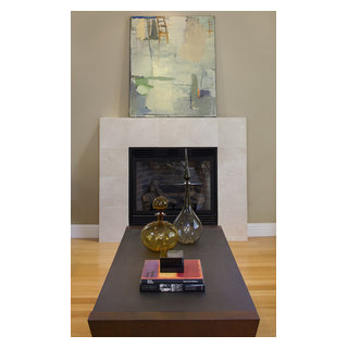 Fireplace - Contemporary - Living Room - Dallas - by Mark Newman Design ...