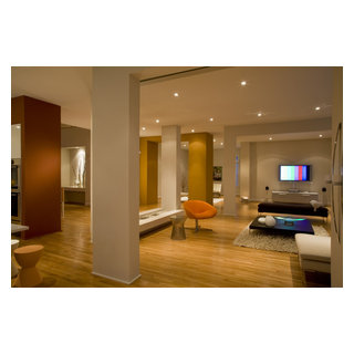 FORMA Design - Modern - Living Room - DC Metro - by FORMA Design | Houzz UK