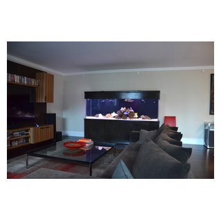 Four Seasons Residential Shark Tank - Modern - Living Room - Boston ...