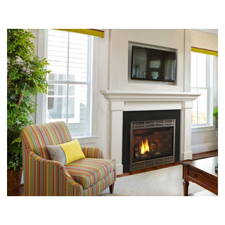 Heatilator Novus Gas Fireplace - Traditional - Living Room ...