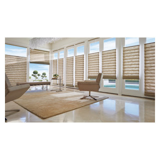 Hunter Douglas - Roman Shades - Modern - Living Room - Chicago - by JC ...