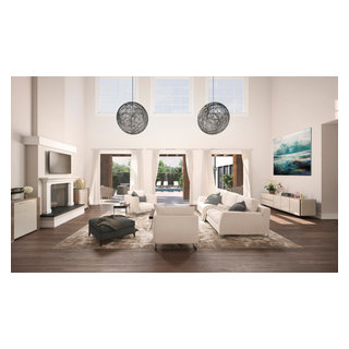 Images that Inspired our clients - Contemporary - Living Room - Los ...