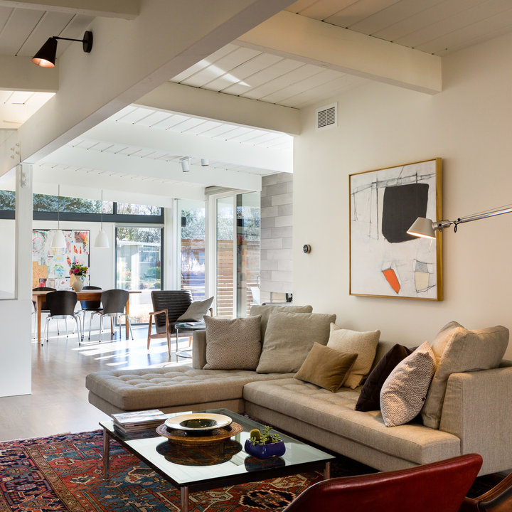 Mid Century Modern Ceiling - Photos & Ideas | Houzz