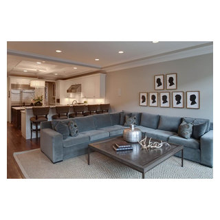Lincoln Park Row Home - Transitional - Living Room - Chicago - by Randy ...