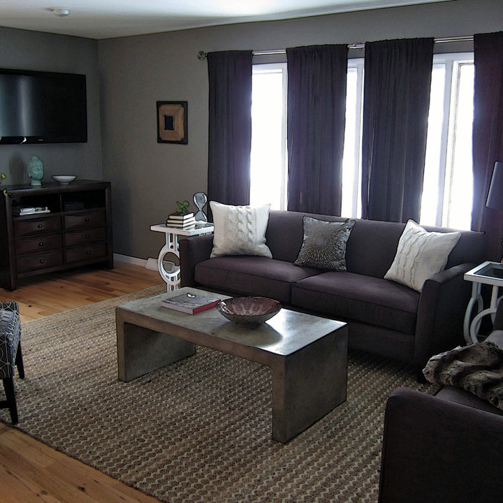 Transitional Modern Living Room - Photos & Ideas | Houzz