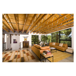 Living Room - Contemporary - Living Room - Sacramento - by Ryan Group ...