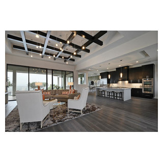 Living Rooms - Contemporary - Living Room - Austin - by Legend Lighting ...