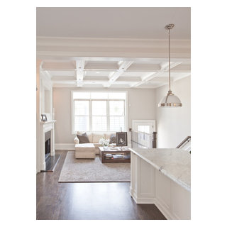 Living Space - Transitional - Living Room - Chicago - by PLD Homes | Houzz