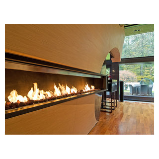 Luxury ribbon fireplaces and art design bio fires in most stunning ...
