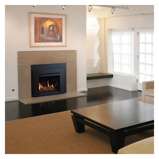 Madison Park CD - Gas Fireplace Insert by IronStrike - Contemporary ...