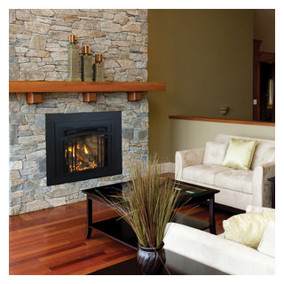 Madison Park - Gas Fireplace Insert by IronStrike - Traditional ...