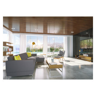 Mid Century Modern Collection Living Room - Contemporary - Living Room ...