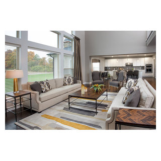 Model Home Luxury - Transitional - Living Room - Columbus - by Mary ...