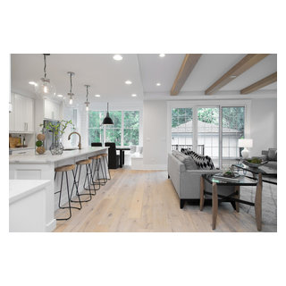 Modern Farmhouse - Farmhouse - Living Room - Chicago - by Silver Leaf ...