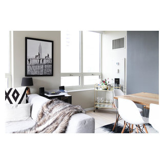 My Houzz: Modern & Globally-Inspired Chicago High Rise Condo ...