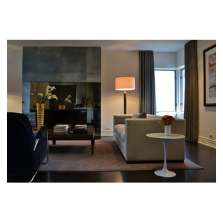 northside moderne - Modern - Living Room - Chicago - by steve + filip ...