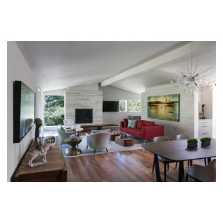 Northwest Hills - Contemporary - Living Room - Austin - by Laura ...