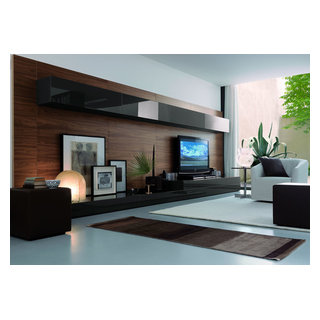 Open Wall Unit - Modern - Living Room - Chicago - by Home Element ...